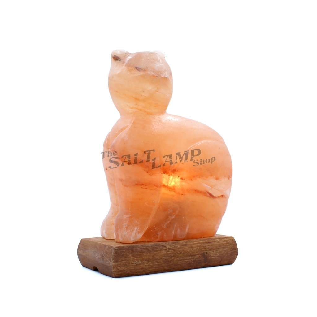 Cat Salt Lamp (Timber Base) – The Salt Lamp Shop NZ