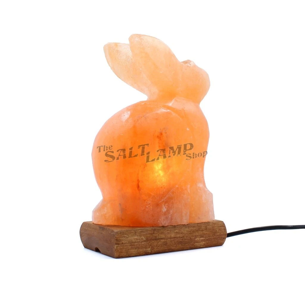 Rabbit Salt Lamp (Timber Base) – The Salt Lamp Shop NZ